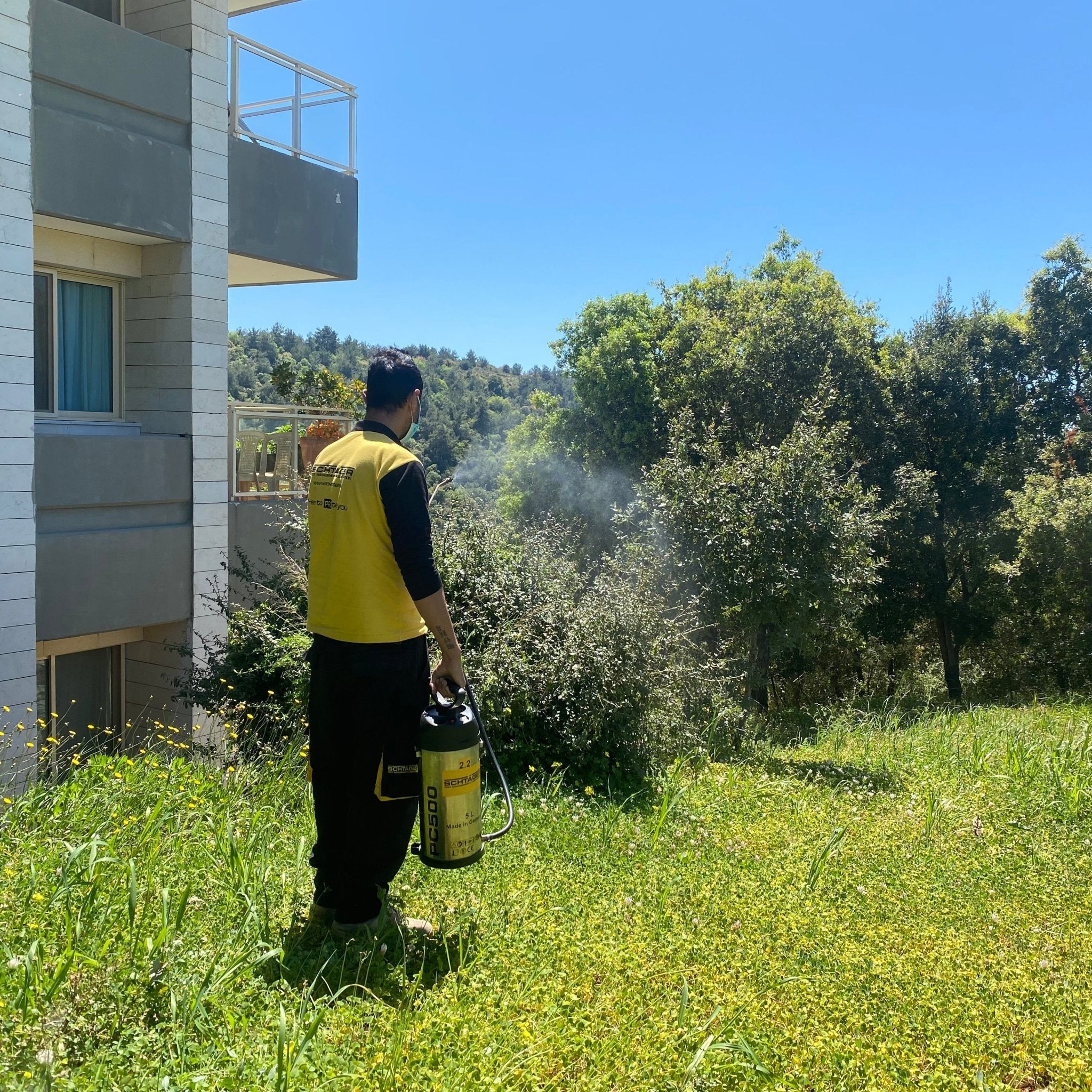 🦟 Flying Insect Control in Lebanon – Safe, Fast & Certified Pest Treat – Schtager